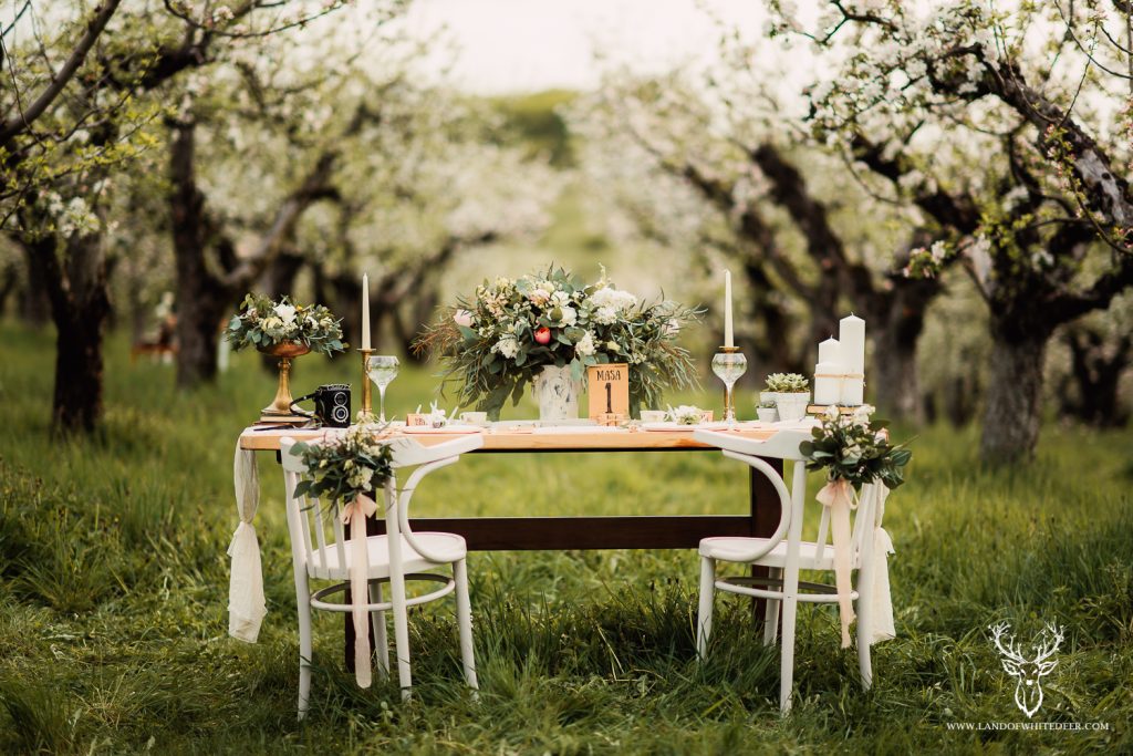 Nunta in livada - Sedinta foto inspirationala | PAPIRA Blog