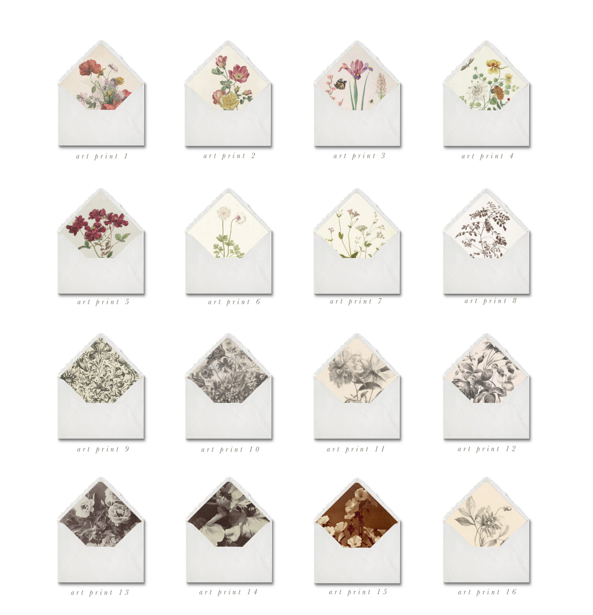 Collection Guide